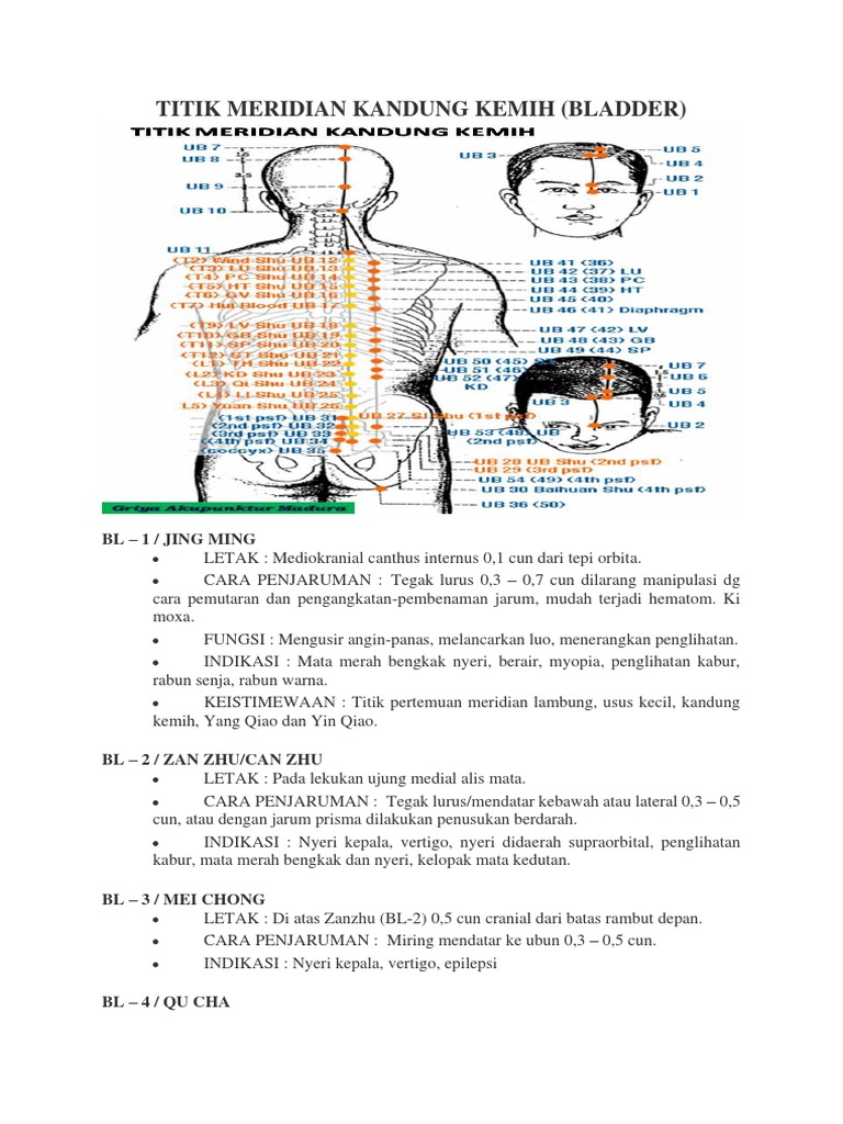 Titik Meridian Kandung Kemih dan Fungsinya | PDF