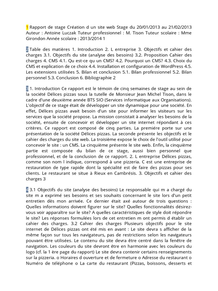 Rapport de Stage : Création Site WordPress | PDF | WordPress | Système ...