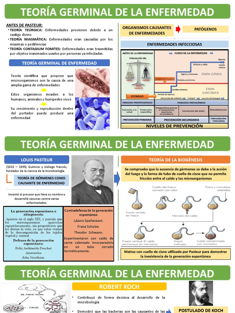 Teoria Germinal de La Enfermedad | PDF | Microbiología | Microorganismo