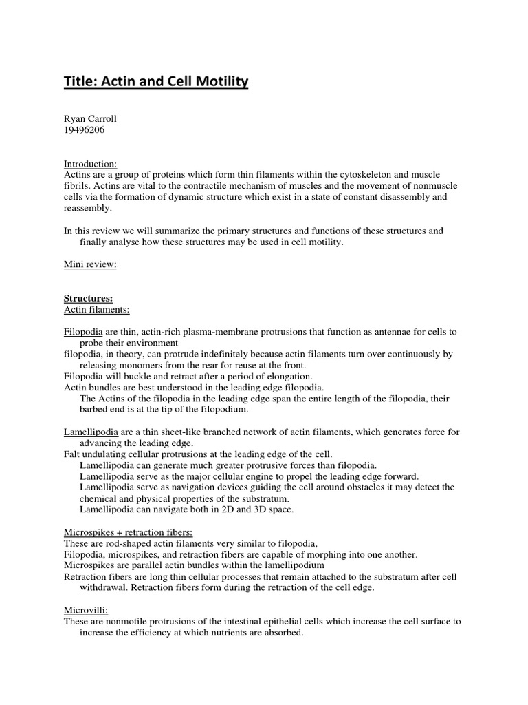 Actin Structures and the Dynamic Mechanisms that Drive Cell Motility ...