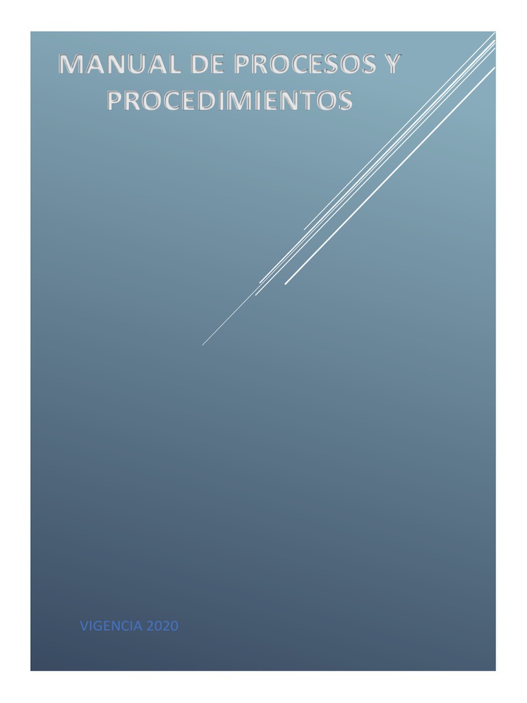 Manual de Proceso y Procedimiento | PDF | Auditoría | Planificación