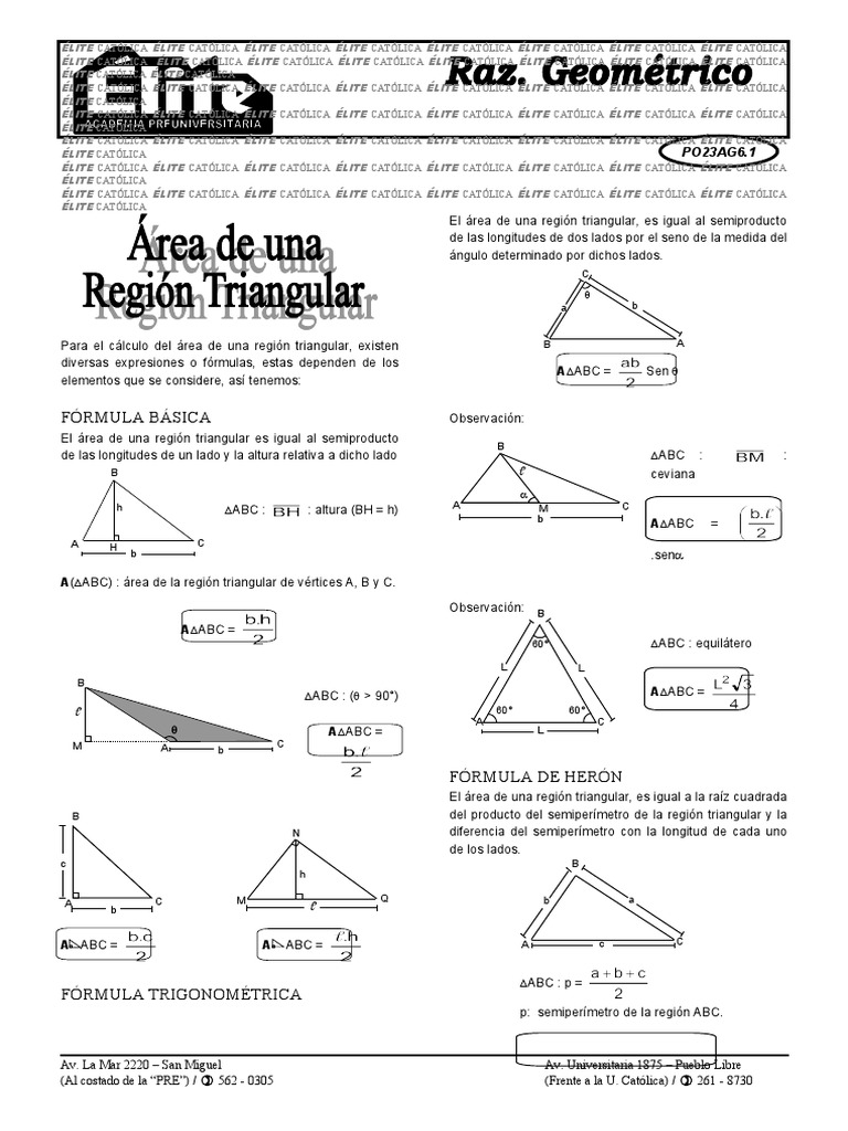 Cálculo del Área de Triángulos | PDF | Triángulo | Geometría