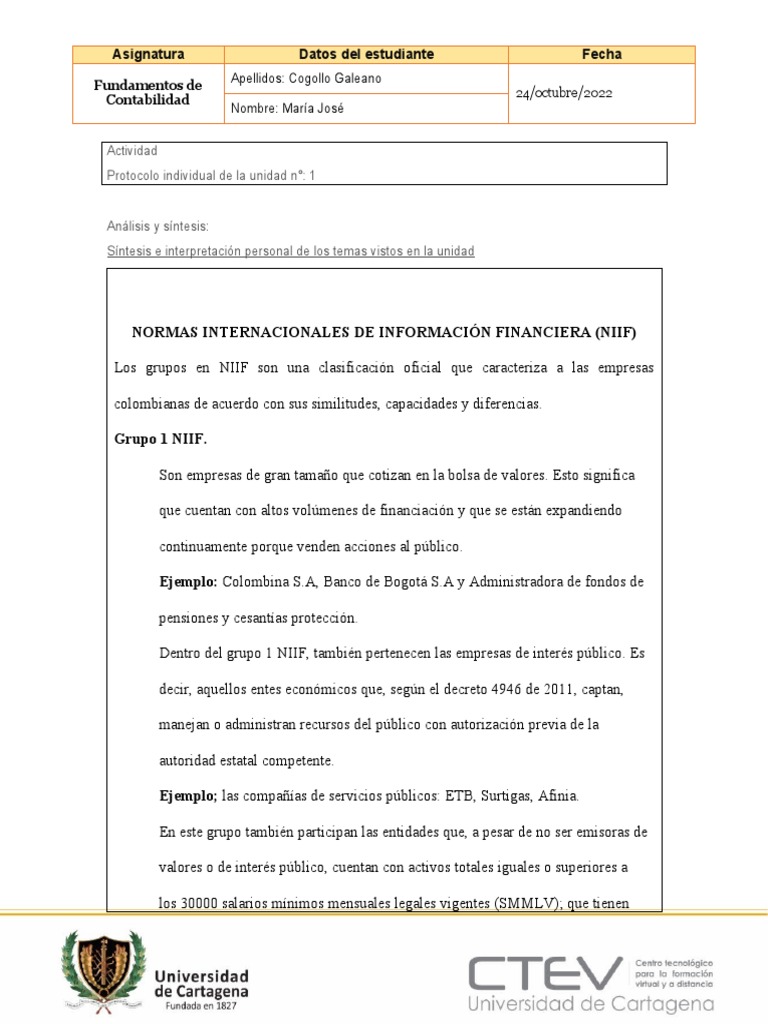 Protocolo Individual Unidad Contabilidad | PDF | normas internacionales de INFORMACION ...