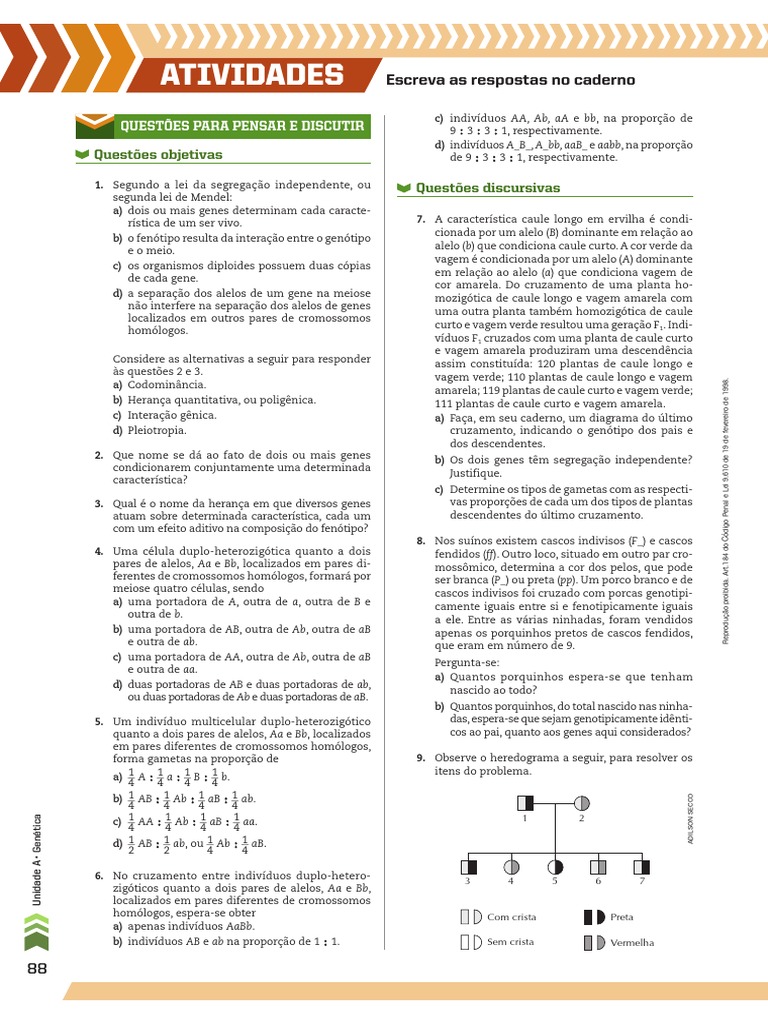 Segregação independente de genes em ervilha | PDF | Alelo | Genótipo