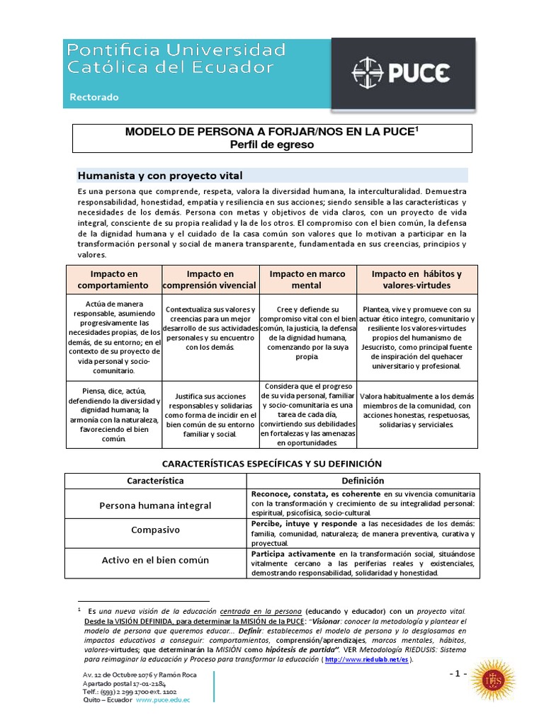 Modelo de Persona 2021 | PDF | Creatividad | Entorno natural