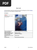 T168 Burn Test Chart | PDF | Rayon | Textiles