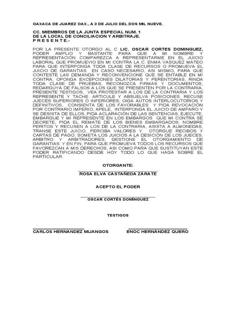 Poder Notarial de Rosa Elva Castañeda | PDF | Política
