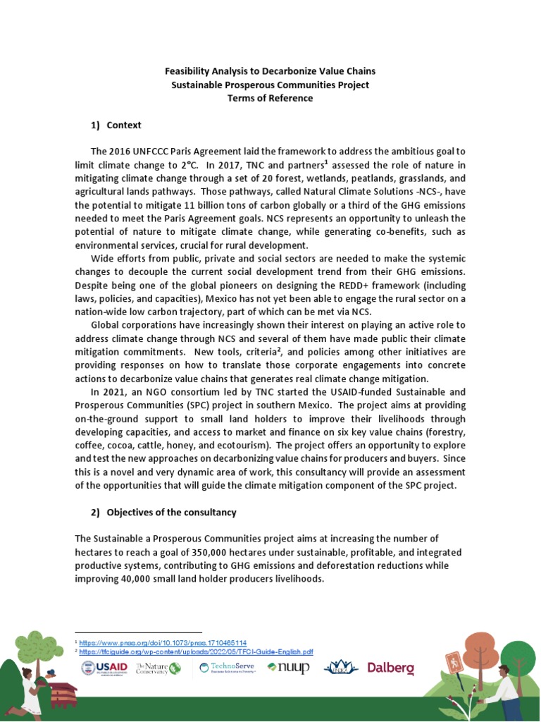 RFP Feasibility Analysis Decarbonizing Value Chains SouthernMx | PDF | Climate Change Mitigation ...