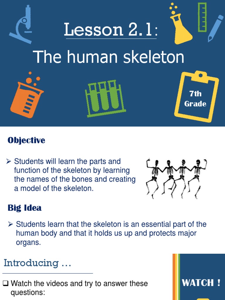 Lesson 2 Grade 7-The Human Skeleton | PDF | Skeleton | Knee