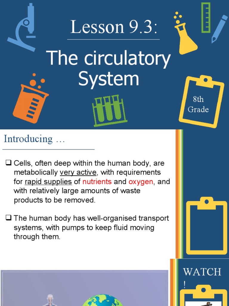 8th Grade Circulatory System Overview | PDF | Social Science | Wellness