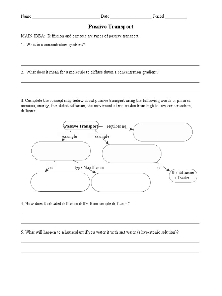 Passive and Active Transport Worksheet | PDF | Cell Membrane | Osmosis