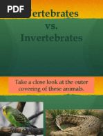 Evolution by Natural Selection WKS Lab ANSWER KEY Zu3kag | PDF ...