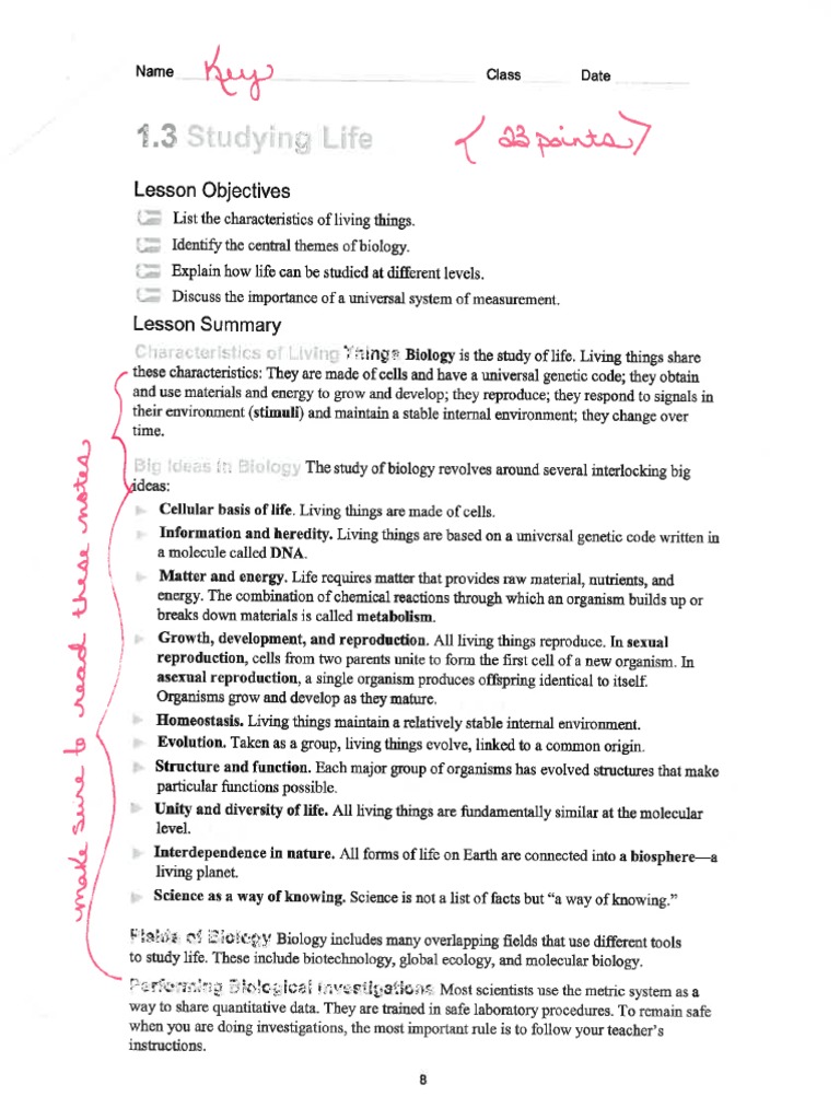 Chapter 1.3 Guided Reading KEY | PDF