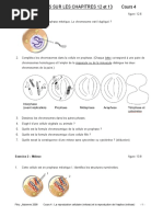 Exercices corrigés de monohybridisme | PDF | Hybride (Biologie) | Génotype