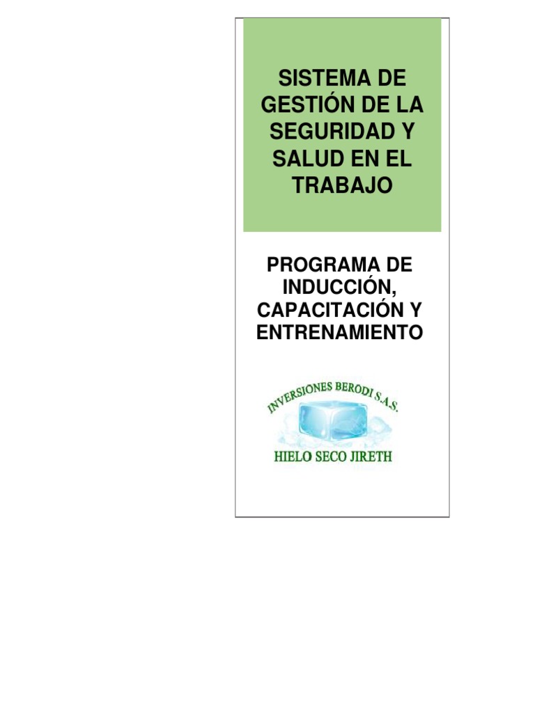 Pm Sst 01 Programa De Capacitación Y Entrenamiento En Sst Pdf