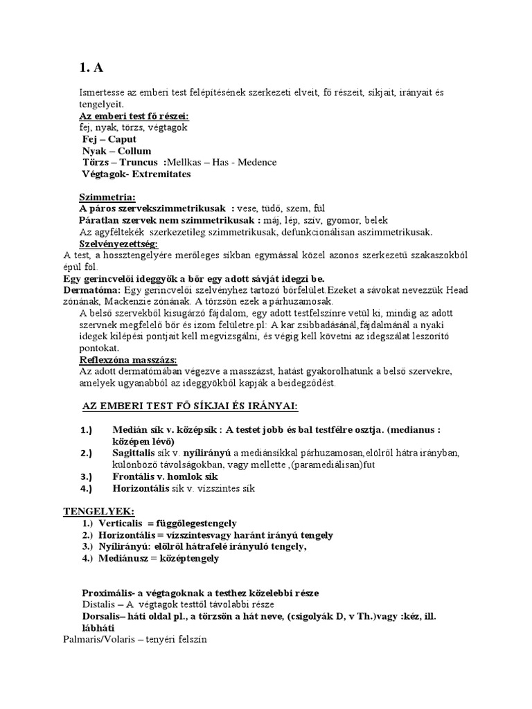 Szóbeli Tételek Röviden | PDF