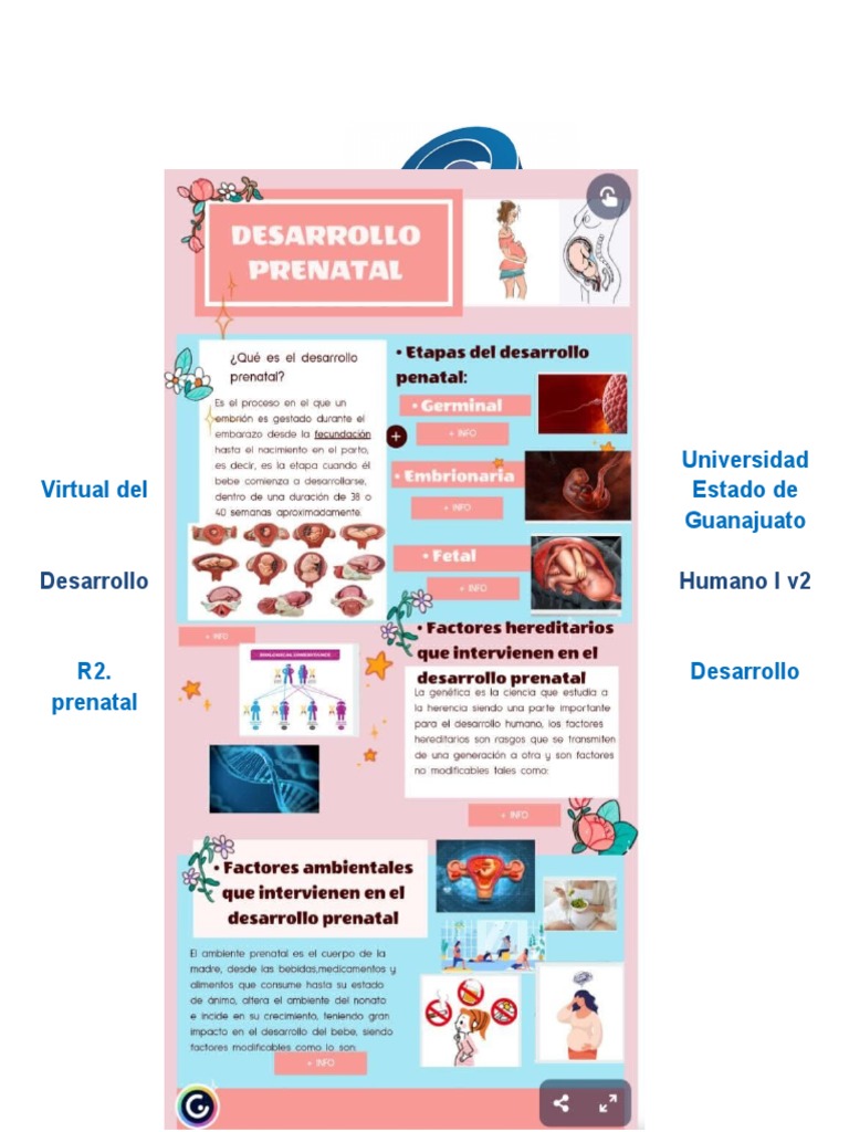 Etapas y factores del desarrollo prenatal | PDF | Relaciones personales ...