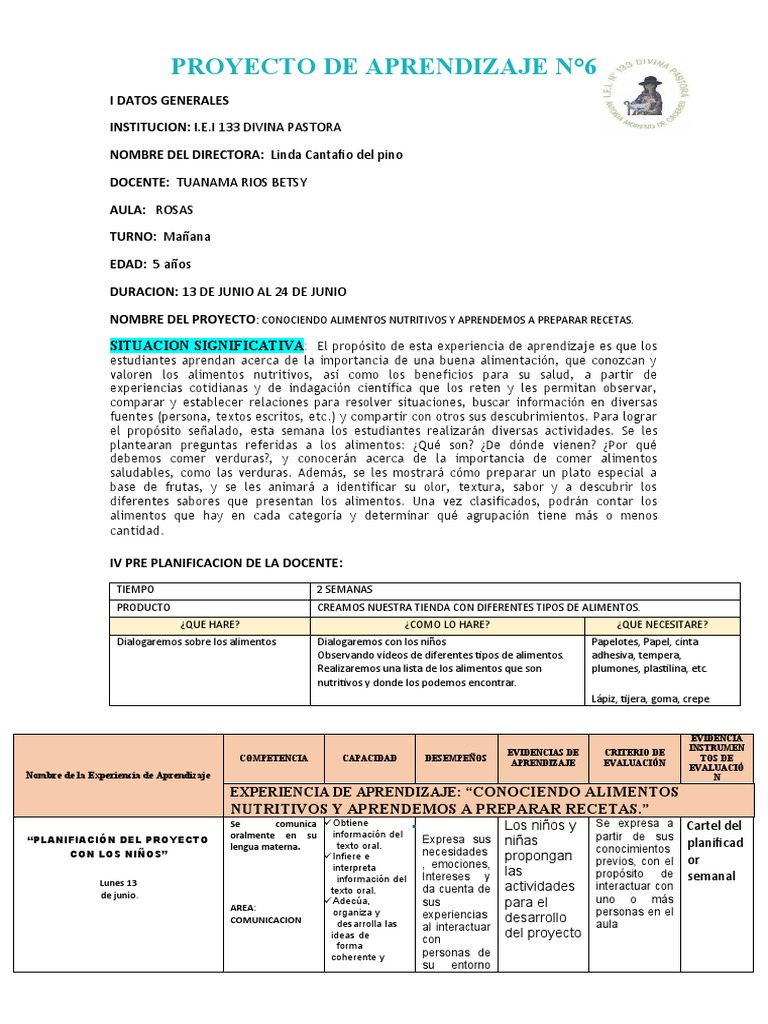 PROYECTO DE APRENDIZAJE Junio | PDF | Aprendizaje | Evaluación