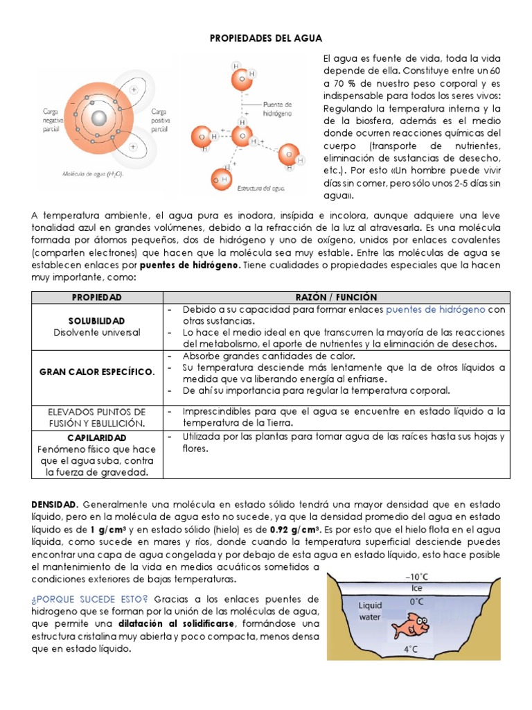 8 Lectura Propiedades Del Agua | PDF | Agua | Propiedades del agua