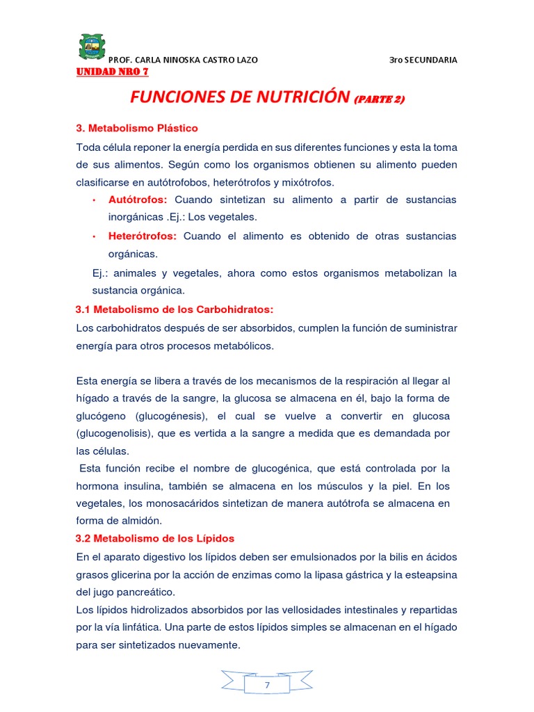 TEMA # 7 FUNCIONES DE NUTRICIÓN PARTE 2 - 3ro SECUNDARIA | PDF | Metabolismo | Alimentos