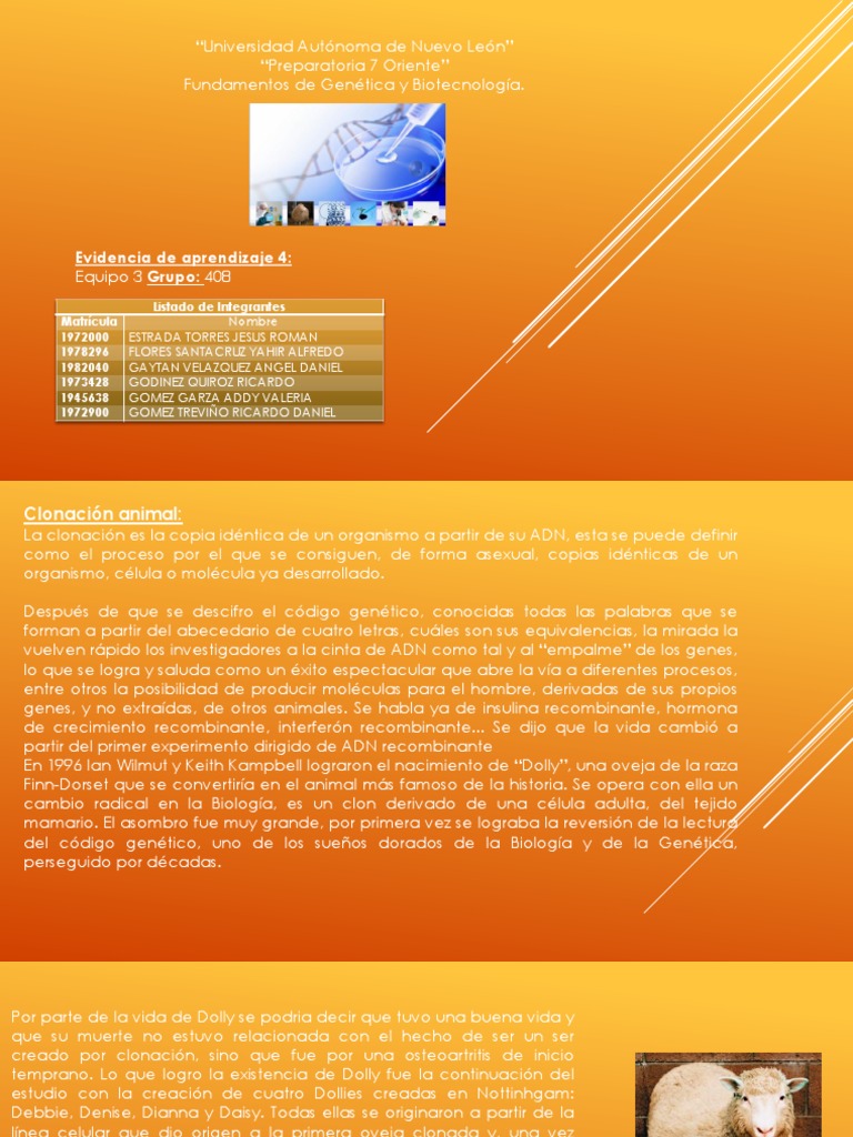 Actividad de Aprendizaje 4 - Equipo3 - Genetica | PDF | Clonación | ADN ... Actividad de Aprendizaje 4 - Equipo3 - Genetica | PDF | Clonación | ADN ...