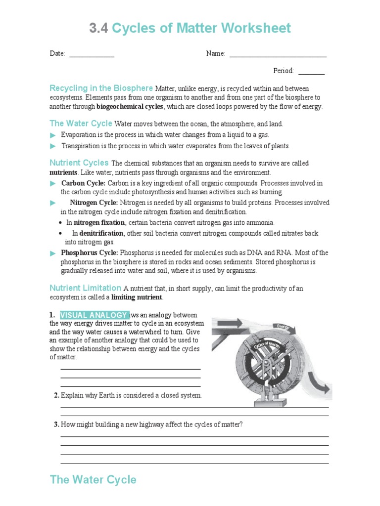 Activity 3.4 - Cycles of Matter | PDF | Soil | Ecosystem