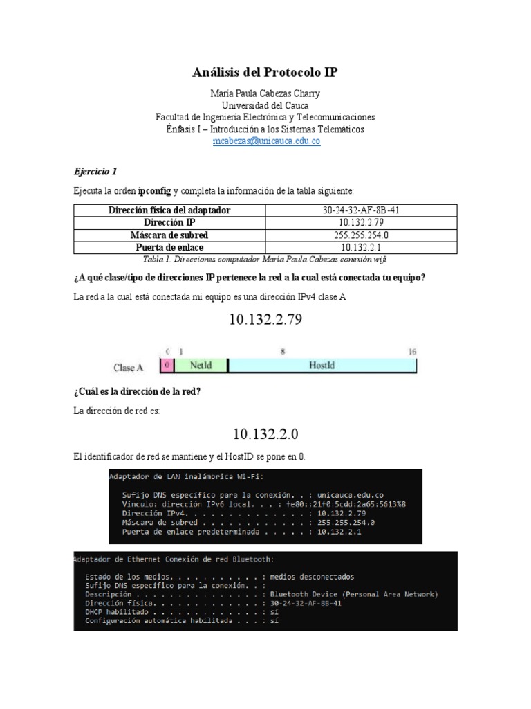 Análisis Del Protocolo IP | PDF | Protocolos de internet | Dirección IP