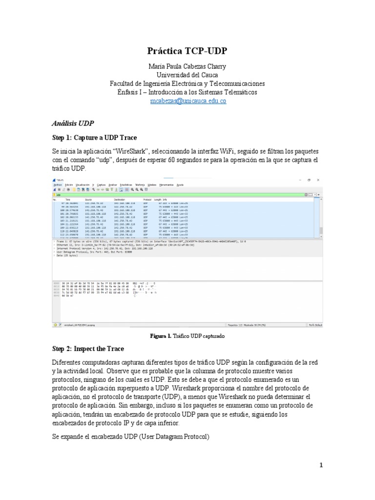 Práctica TCP | PDF | Protocolo de Control de Transmisión | Protocolos de internet