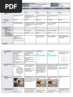 Child Protection Committee Composition | PDF