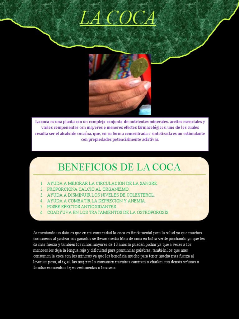 Beneficios de La Coca | PDF | Salud y bienestar