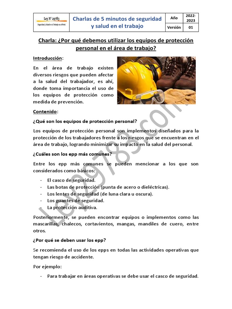 Por Que Debemos Utilizar Los Epp | PDF