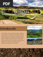Ultisoles | PDF | Suelo | Los bosques