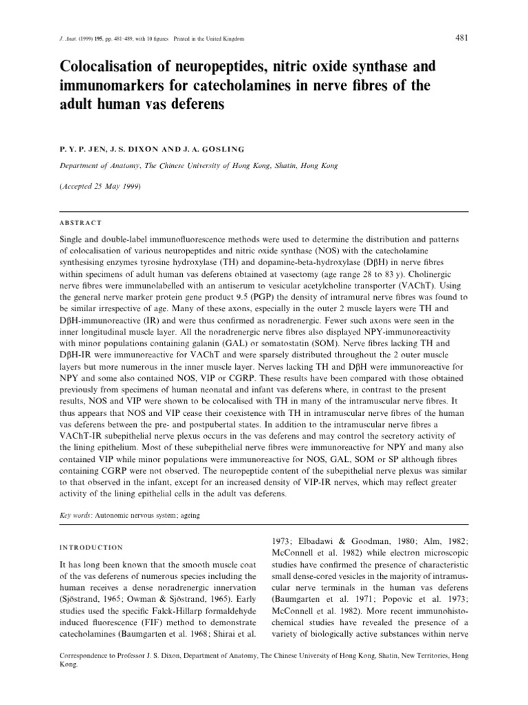 Colocalisation of Neuropeptides, Nitric Oxide Synthase and ...