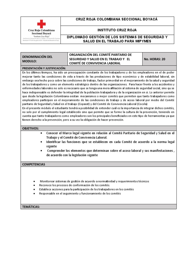 Conformacion Del Copasst y Cocola | PDF | Seguridad y salud ocupacional