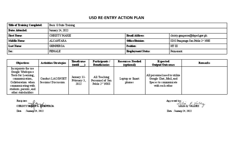 Re-Entry Action Plan - REAP Template | PDF | Communication | Computing