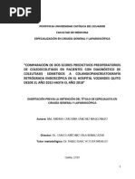 Clasificacion Parkland Mau | PDF