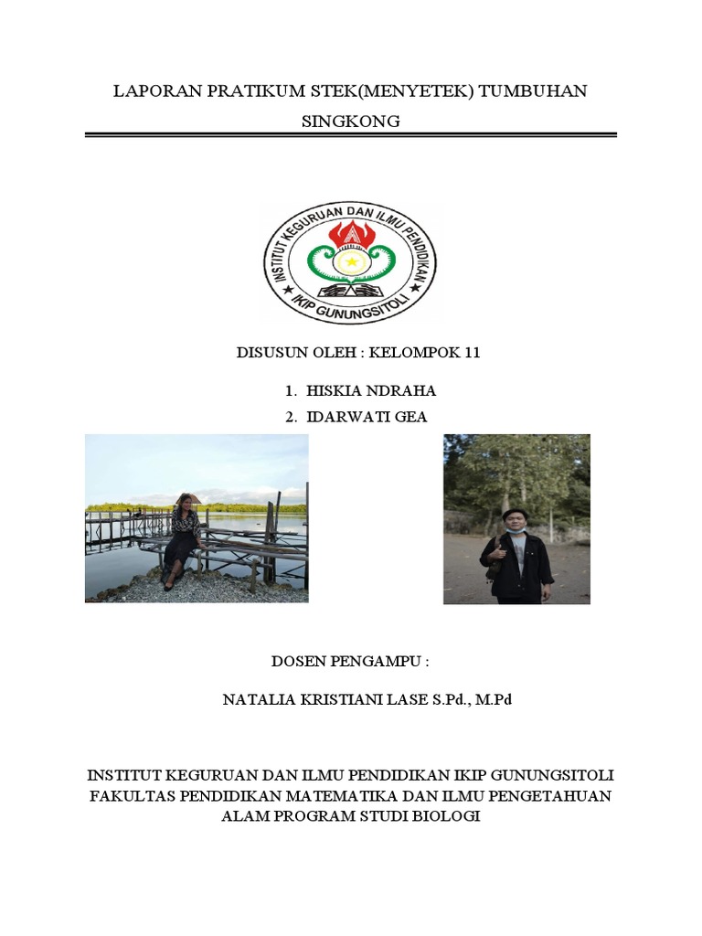 Laporan Pratikum Stek | PDF