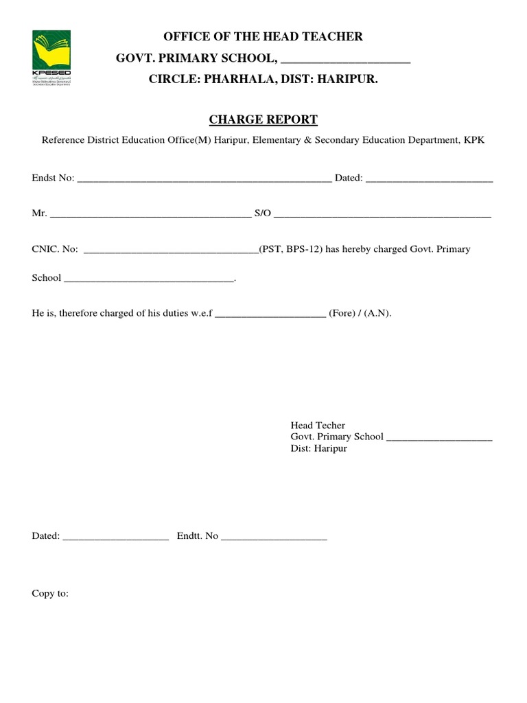 Charge Report 1 | PDF