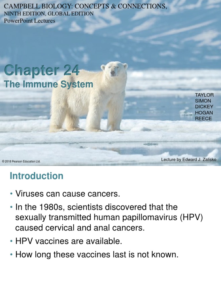 24 Lecture Presentation Pdf Lymphatic System Immune System