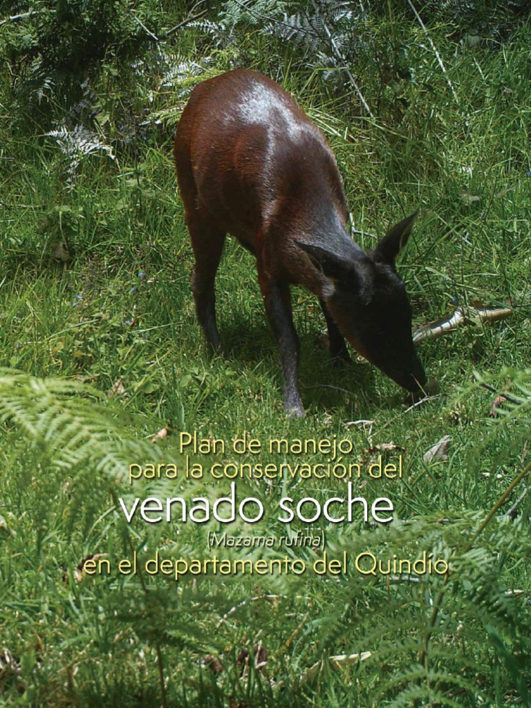 PLANMANEJOLACONSERVDELVENADOSOCHE Comprimido | PDF | Biodiversidad | Andes