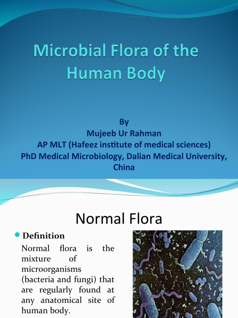 5 Microbial Flora of The Human Body | PDF | Microorganism | Bacteria