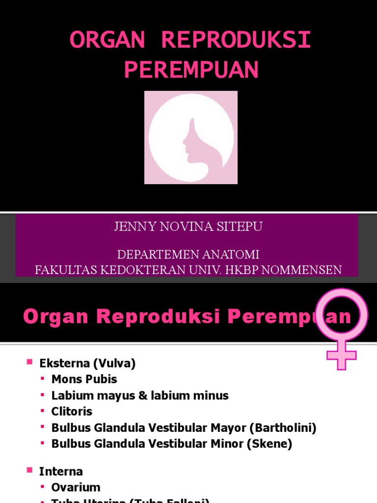 Struktur Organ Reproduksi Perempuan | PDF