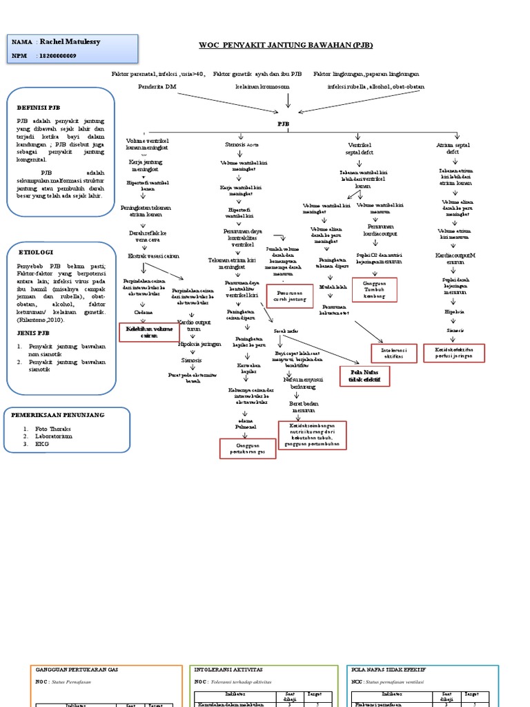 Pathway Penyakit Jantung Bawaan Anak | PDF