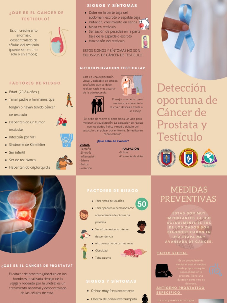Tríptico Cancer de Prostata y Testiculo | PDF | Cancer de prostata | Cáncer