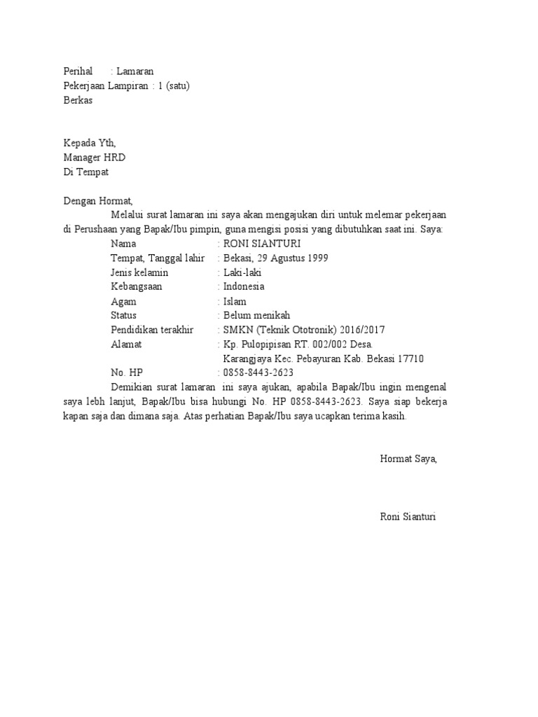 CV Roni Sianturi | PDF