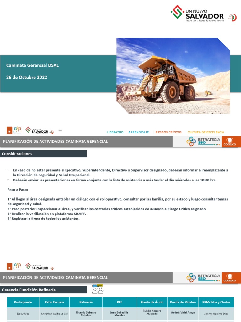 Caminata Gerencial DSAL | PDF