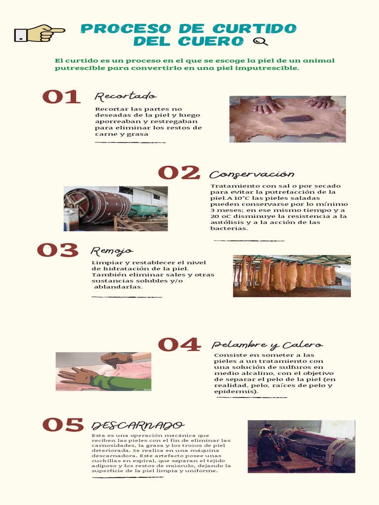 Infografía Del Proceso de Curtido | PDF | Química | Sustancias químicas