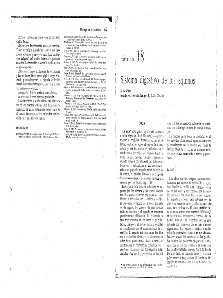 Anatomia Veterinaria de Los Animales Domésticos - Sisson y Grossman ...