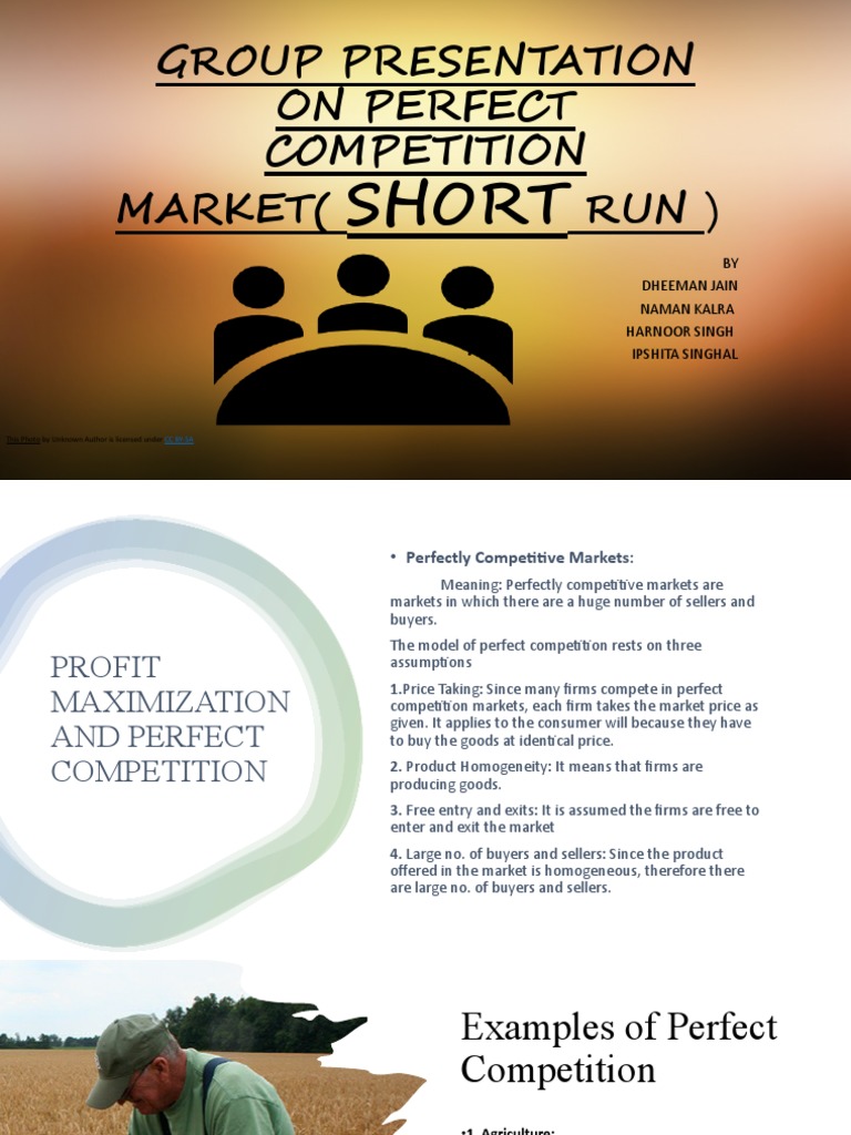 Profit Maximization and Perfect Competition | PDF | Economic Surplus ...