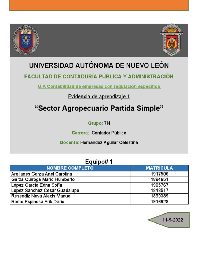 7 NE1 Ev 1 Partidasimple | PDF | Contabilidad | Contador